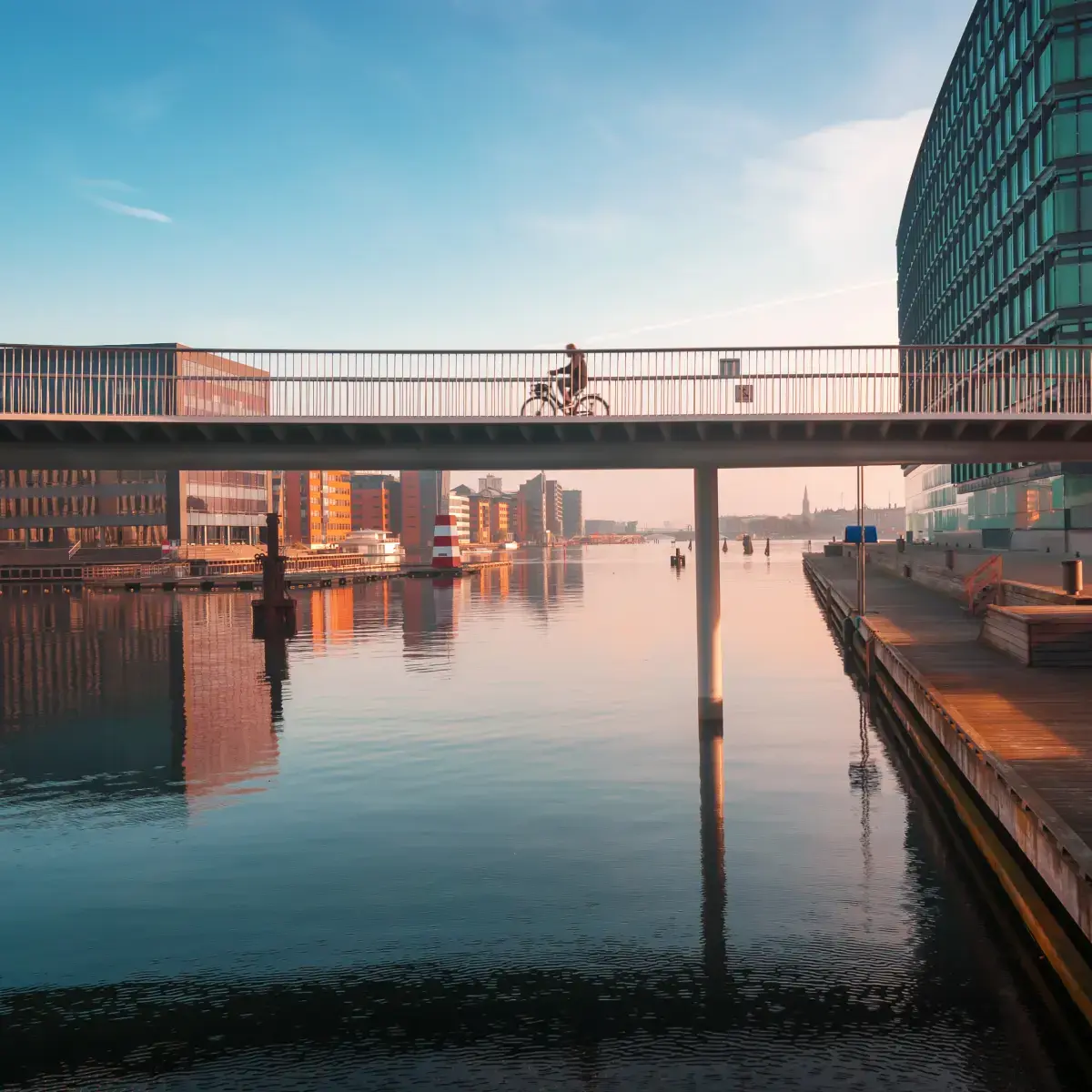 Addo Sign: Detailed Product Description, Features, and Use Cases